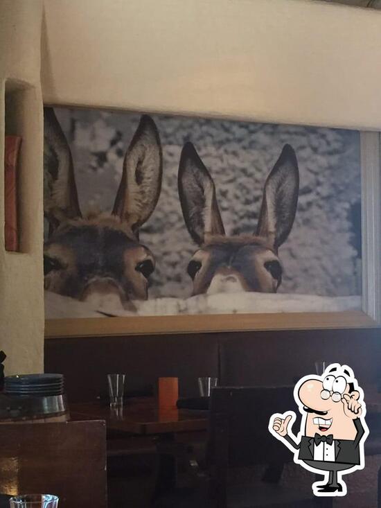 Spotted Donkey Cantina, Scottsdale - Restaurant menu, prices and reviews