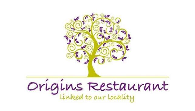 Menu at Origins Restaurant, Loughborough