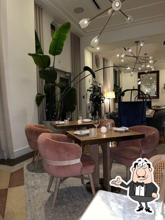 Meet Dalia - Mediterranean restaurant in Miami Beach, Miami Beach ...