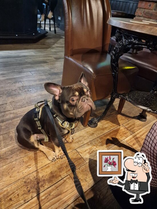 Dempsey's Bar, Seaham - Restaurant menu, prices and reviews