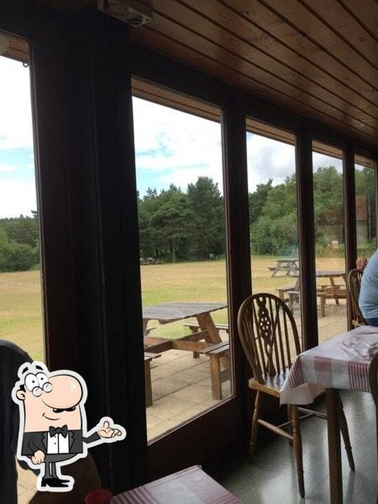 Avon Heath Cafe, In the country park in Ringwood - Restaurant reviews