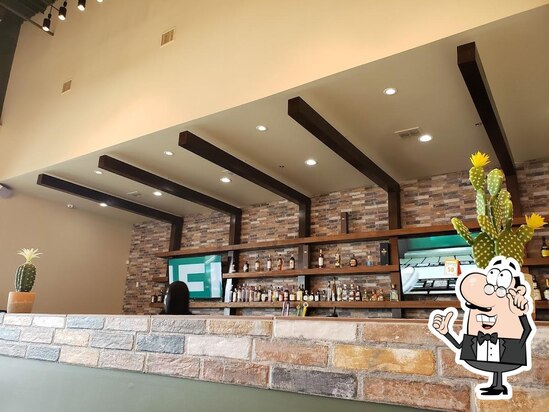 Señor Cactus Mexican Grill, Edinburg - Restaurant menu, prices and reviews