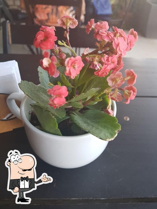 Torteria Macchiato cafe, Planaltina - Restaurant reviews