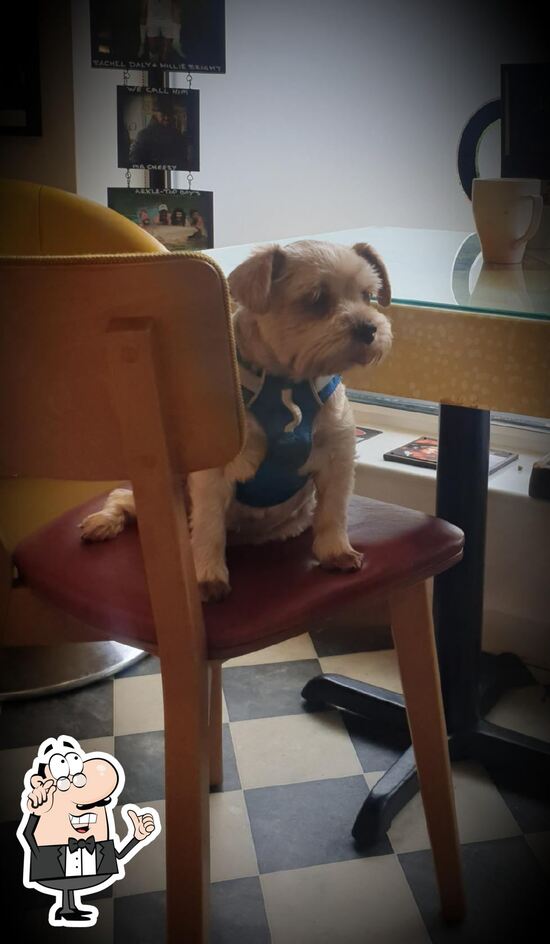 The Arkle Cafe, Doncaster - Restaurant menu, prices and reviews