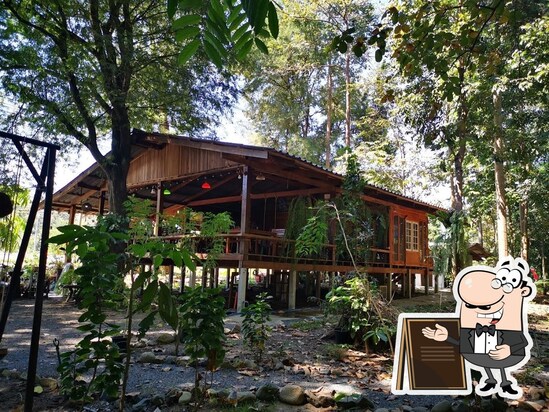 FOREST HOUSE CAFE’, Thap Sai - Opiniones del restaurante
