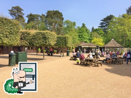 The Terrace Café in Sandringham - Restaurant reviews