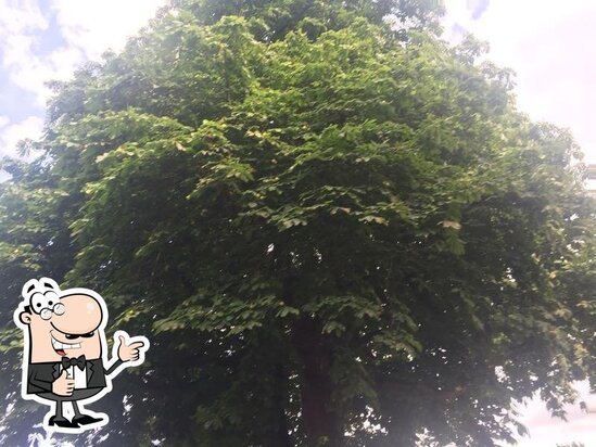 The Tree at Iffley, The Tree Hotel, 63 Church Way in Oxford ...