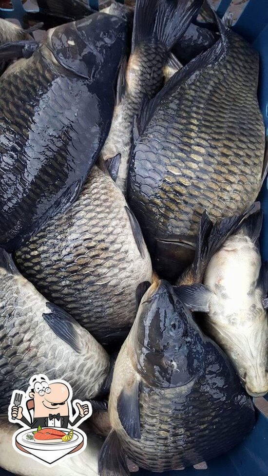 Menu at Floating Restaurant Mobi Dik, Kardzali