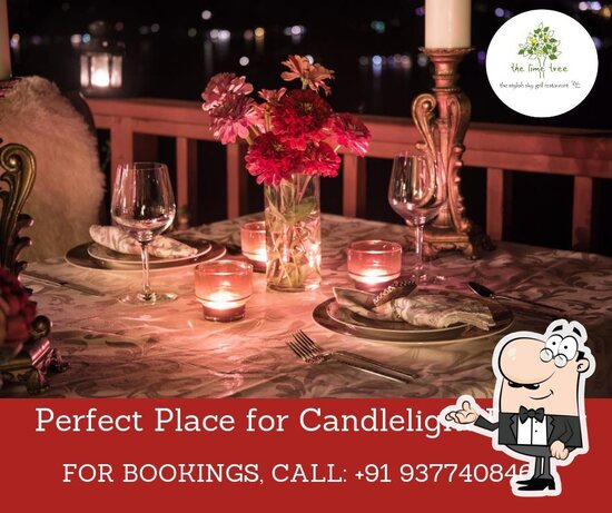 The Lime Tree Restaurant, Surat - Restaurant menu, prices and reviews