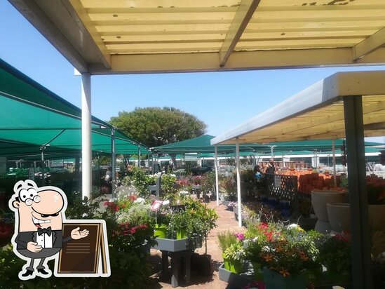 Stodels Cafe - Kenilworth., Cape Town - Restaurant menu, prices and reviews