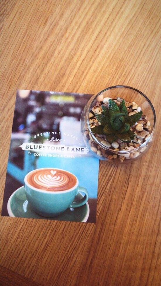 Bluestone Lane Front Street Coffee Shop, 227 Front St in San Francisco ...