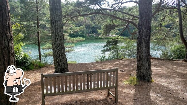 The Blue Pool, Wareham - Restaurant menu, prices and reviews
