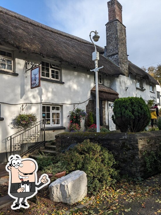 Stags Head Inn, Filleigh - Restaurant menu, prices and reviews