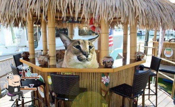 Big Floppa Tiki Bar, Miami Beach - Restaurant menu, prices and reviews