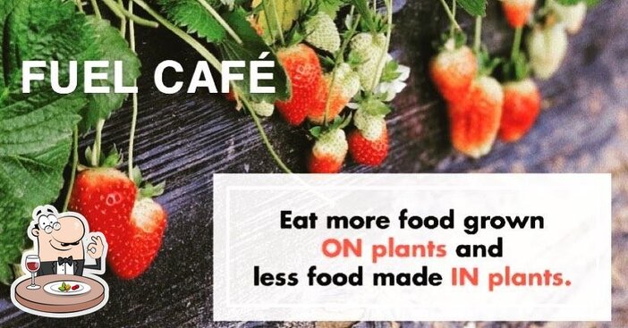 Fuel Nutritional Smoothie Cafe’ in Emmaus - Restaurant reviews