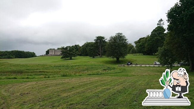Curraghchase Cafe in Ireland - Restaurant reviews