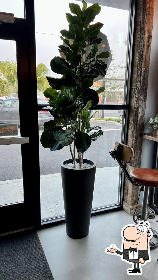 Foxtail Coffee - SoDo North, Orlando - Restaurant menu, prices and reviews