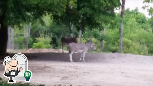 Zoo Miami Catering, Three Lakes - Restaurant menu, prices and reviews