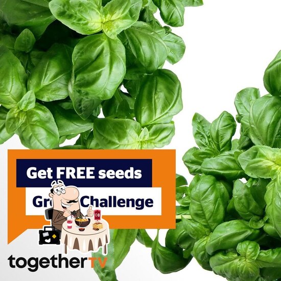 The Boxted Community Hub, Colchester - Restaurant menu, prices and reviews