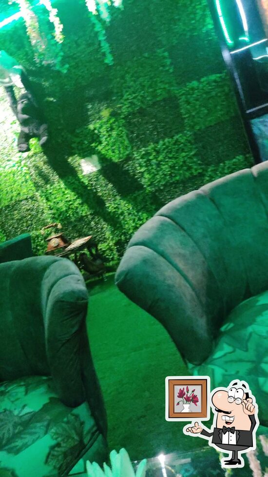 The Jungle Feast Cafe, Rohtak - Restaurant reviews