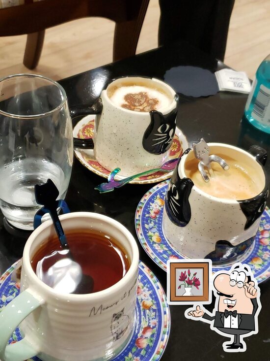 Cafe Meow in Blackpool - Restaurant reviews