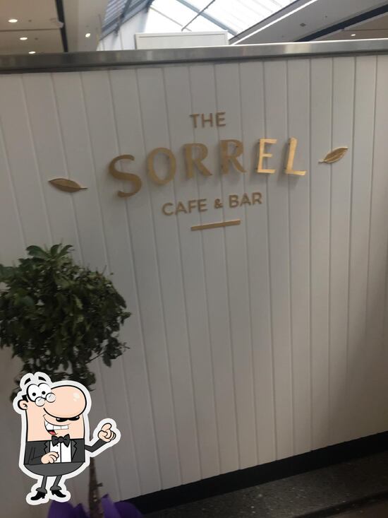 The Sorrel Cafe & Bar, Glebe - Restaurant menu, prices and reviews