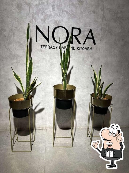 NORA TERRACE BAR & KITCHEN, Pune - Restaurant menu, prices and reviews