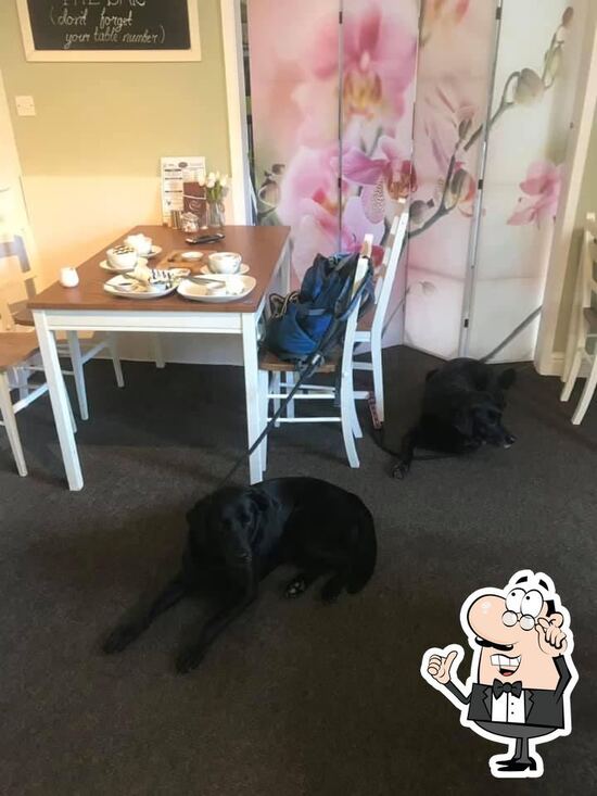 The Forge Tea Room in Pickering - Restaurant reviews