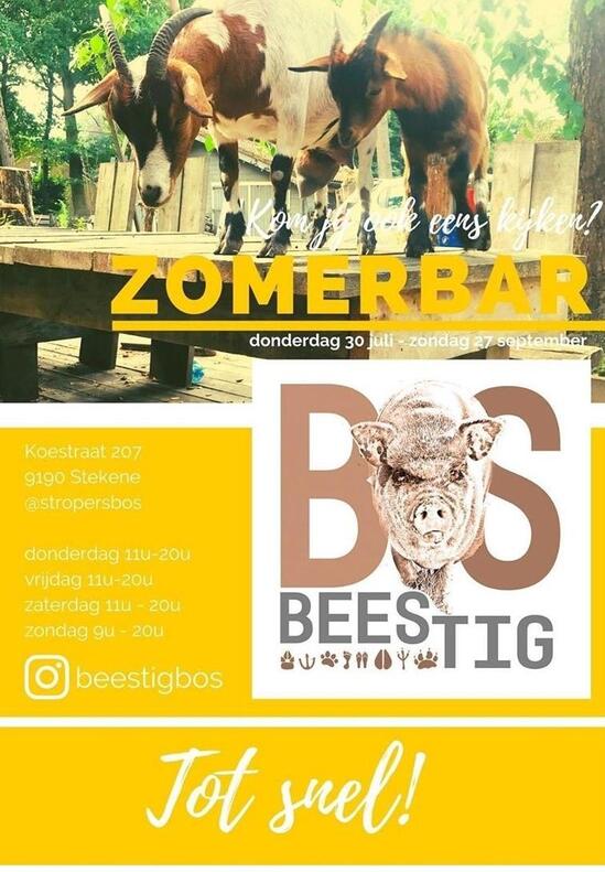 Beestig Bos, Stekene - Restaurant reviews