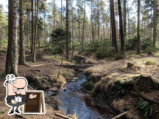 Forest Holidays Cropton in Англия - Restaurant reviews