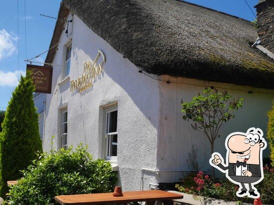 Menu at The Thatched Inn pub & bar, Bideford