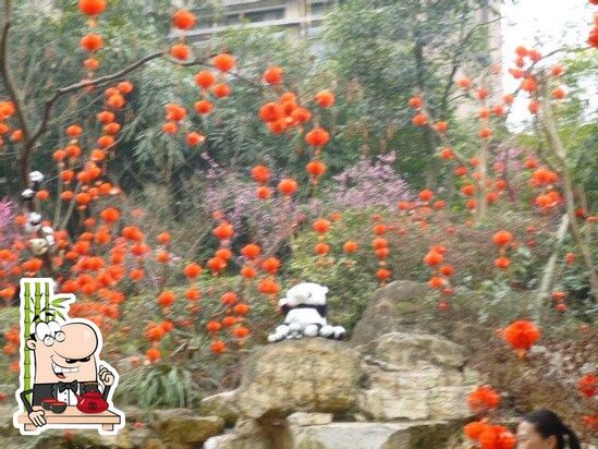 Panda Garden in Overland Park