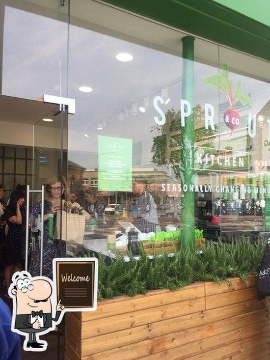 Menu at Sprout & Co Ballsbridge pub & bar, Dublin