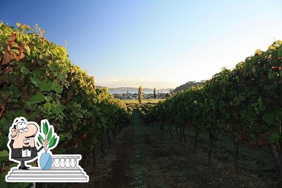 Mercury Bay Estate - Winery & Restaurant in Cooks Beach - Restaurant ...