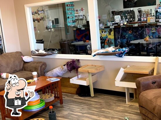 Mochas and Meows in Branson - Restaurant menu and reviews