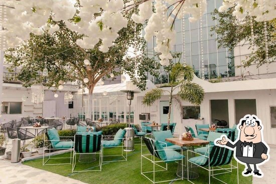 The Big Tree Cafe, Gurugram - Restaurant menu, prices and reviews