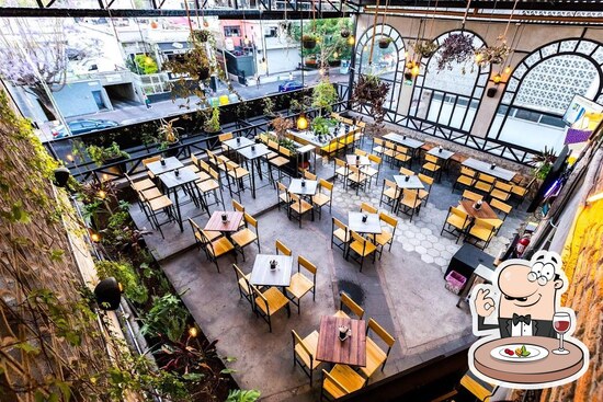 Restaurante El Rey Gallo, Guadalajara - Opiniones del restaurante
