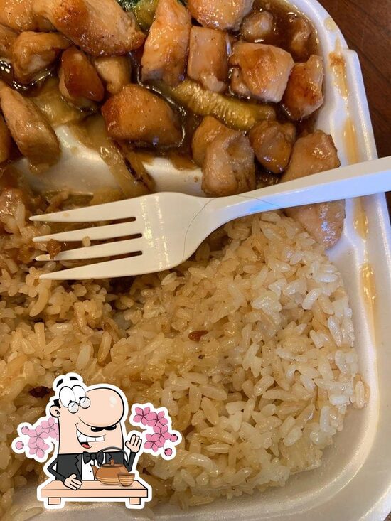 Menu at Japan Express restaurant, Chapel Hill, 106 S Estes Dr