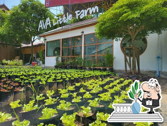 Menu at AVA Little Farm restaurant, Bang Kruai