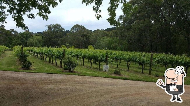 Main Ridge Estate in Red Hill - Restaurant menu and reviews