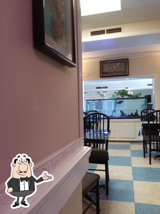 VIP Chinese Restaurant, Kingston - Restaurant menu, prices and reviews