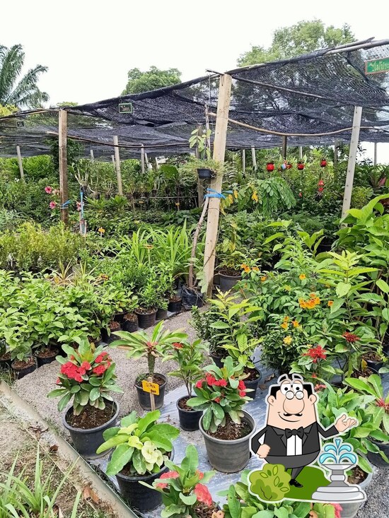 ร้านธรรมชาติพันธ์ไม้/ส้มตำกลางสวน, Sra Yai Som - Menú del restaurante ...