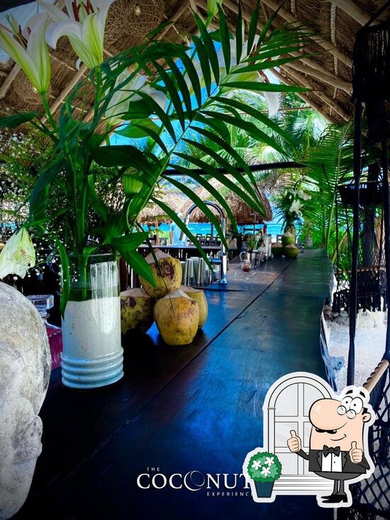 Menu at The Coconut Experience pub & bar, Tulum
