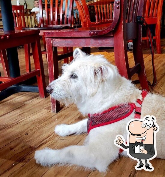 305 Lounge & Eatery in Hendersonville - Restaurant reviews