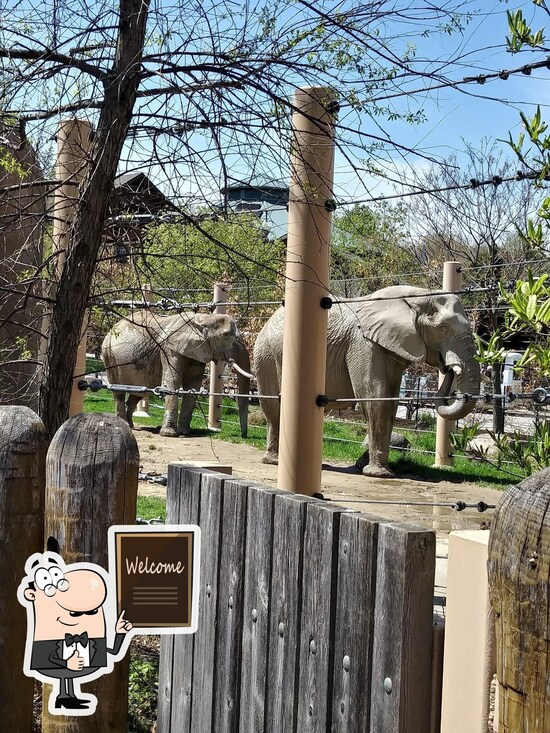 Menu at Cleveland Metroparks Zoo - Food Court restaurant, Cleveland
