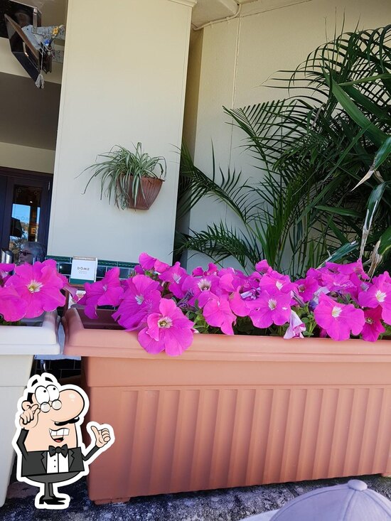 Dôme Café - Warwick, Warwick - Restaurant menu, prices and reviews
