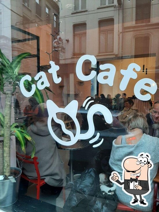 Menu at Cat Café Antwerp, Antwerp