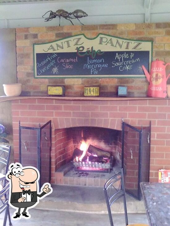 Antz Pantz Cafe, Young - Restaurant menu, prices and reviews