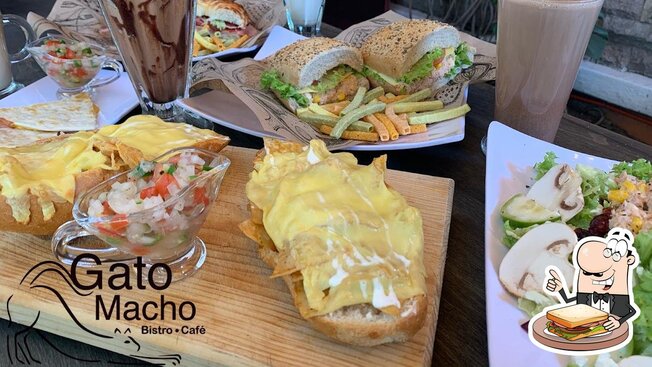 Restaurante Gato Macho, Mexico - Opiniones del restaurante