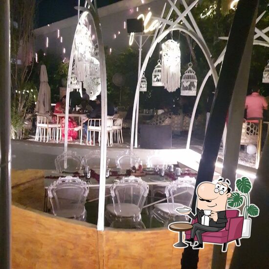 The Big Tree Cafe, Jaipur - Restaurant menu, prices and reviews